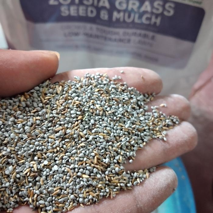 Jual benih rumput manila-zenith zoysia - Kab. Bogor - Essa karya_NEW ...