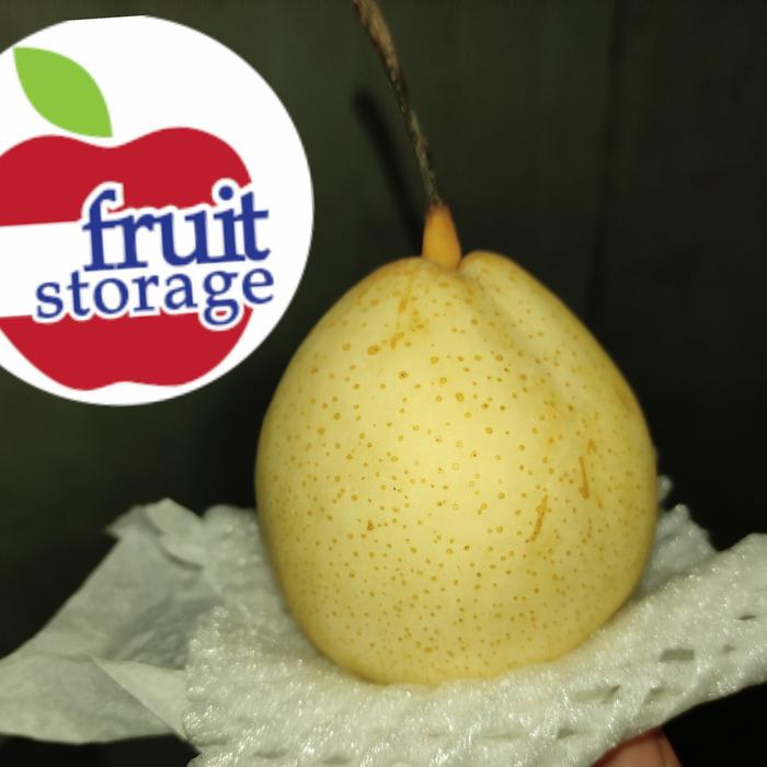 Promo Pear Ya Lie 1kg Pir Ya Li 1Kilogram Yalie Yali - 1kg - Jakarta ...