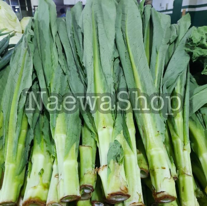 Jual Fumak Bandung Murah Kualitas Super - Kota Bekasi - Naewa Shop ...