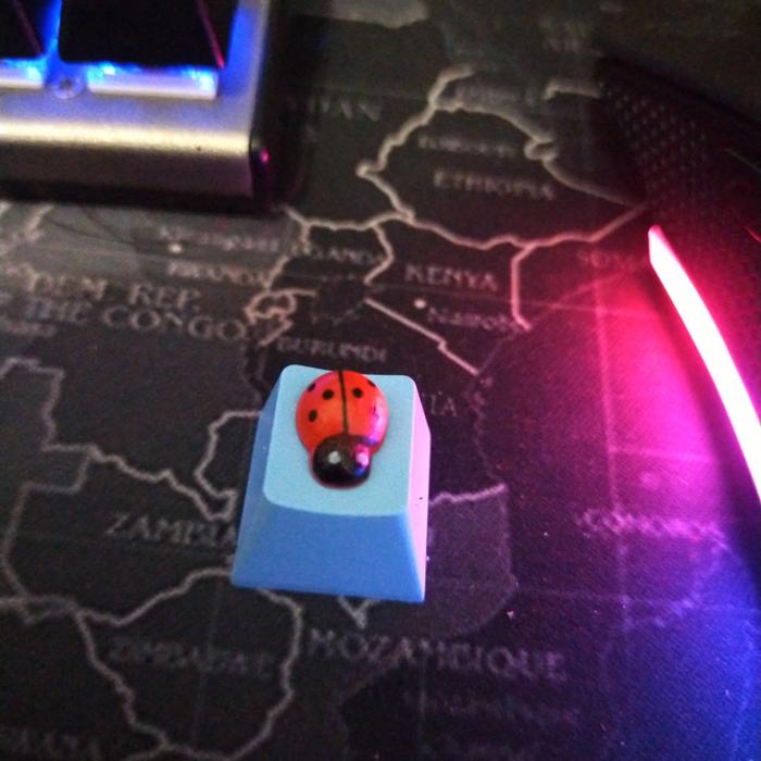 Jual keycaps mechanical keyboard ladybugs - Kab. Tulang Bawang ...