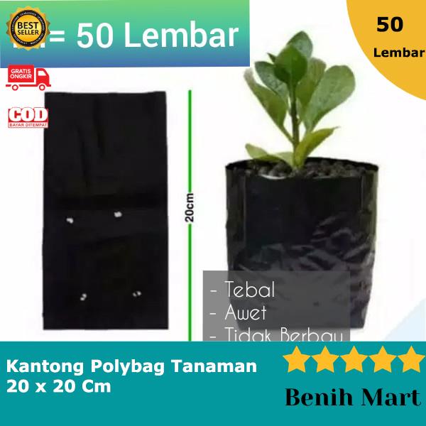Jual Polybag Polibek Polibag Tanaman Kantong Tanaman 20 x 20 Cm - 20 x ...