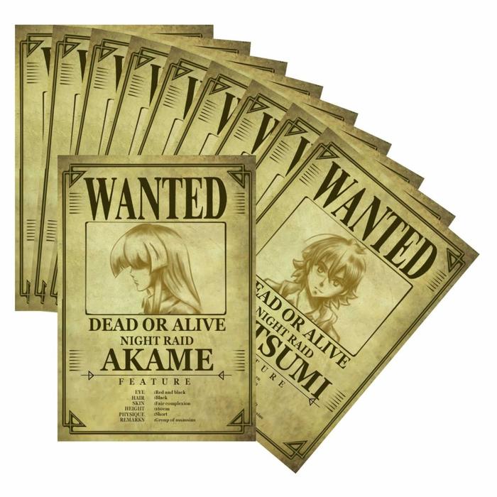 Jual Poster Wanted Anime Akame Ga Kill - Night Raid - Kota Surakarta ...