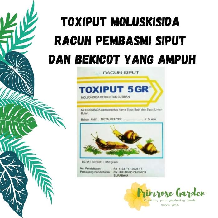 Jual Toxiput Moluskisida racun pembasmi siput dan bekicot yang ampuh ...