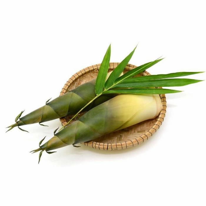 Jual rebung bambu muda/sayur rebung/anak bambu/makanan tradisional ...