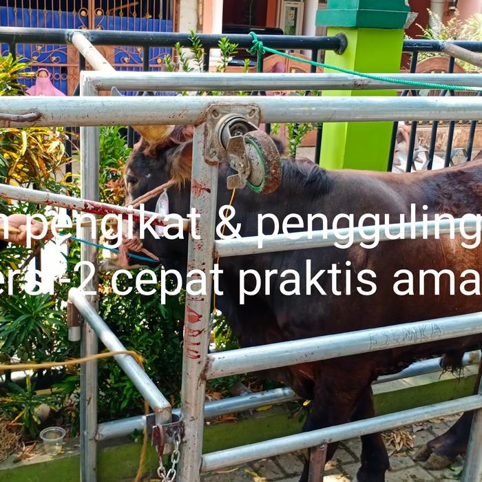 Jual Alat PENGIKAT PEREBAH PENGGULING SAPI QURBAN murah aman cepat 5 ...