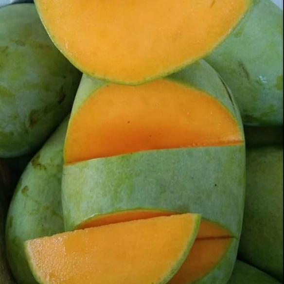 Jual BUAH MANGGA BUDI RAJA/GAJAH 1KG - Jakarta Barat - Fresh Fruit ...