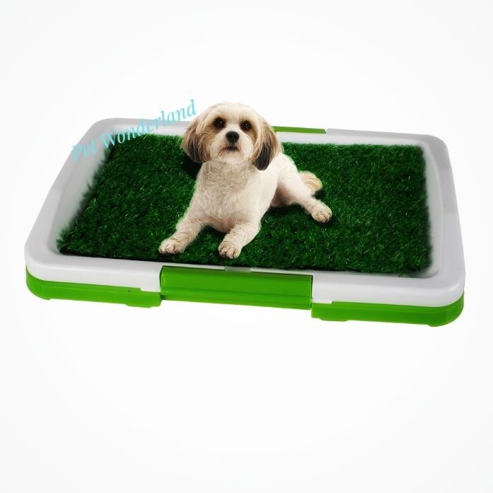 Jual Puppy Potty Training Pad Tray - Tatakan Poo Pee + Rumput - Dog ...