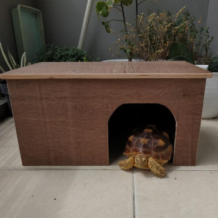 Jual Hiding Cave torto table rumah kura kura tempat ngumpet reptil ...