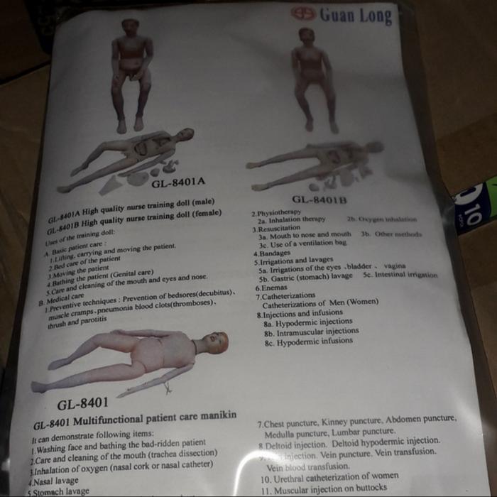 Jual Manikin Phantom alat peraga manusia full body utuh Guanglong ...