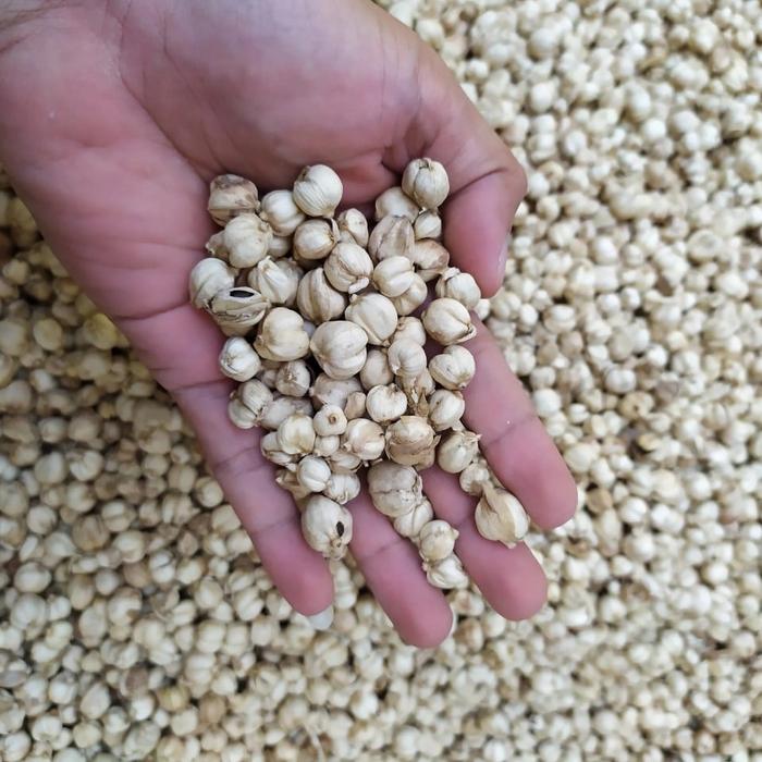 Jual kapulaga putih 1kg kering - Kab. Lumajang - UD.Rempah jaya | Tokopedia