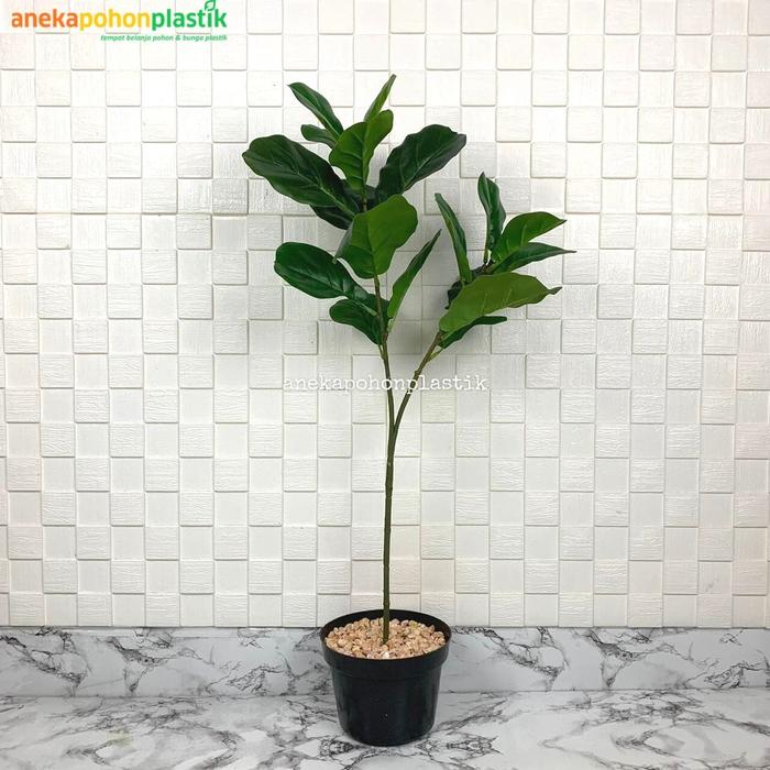 Jual Pohon Ketapang T80 Latex Artificial Pot Dasar Hitam Dekorasi Rumah ...