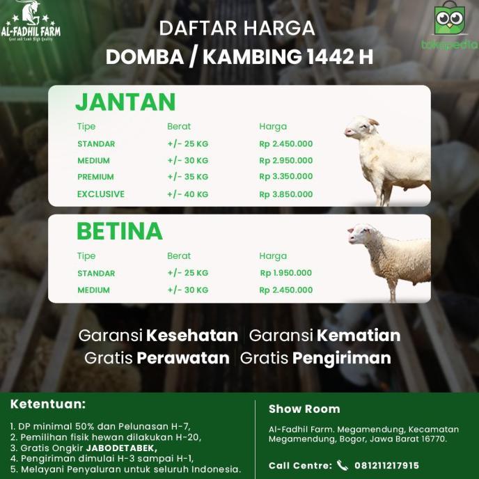 Jual Hewan Qurban Domba / Kambing Kurban Bobot -/+ 40 Kg , Jantan Waffa258 - Jakarta Timur ...