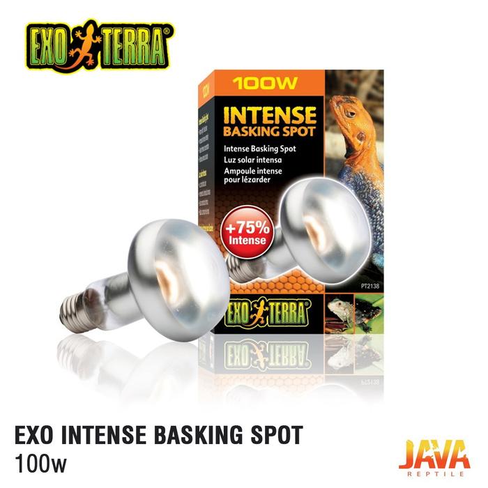Promo Exo Terra Intense Basking Spot 100 Watt Exoterra Lampu UVA - Jakarta Selatan - Java ...