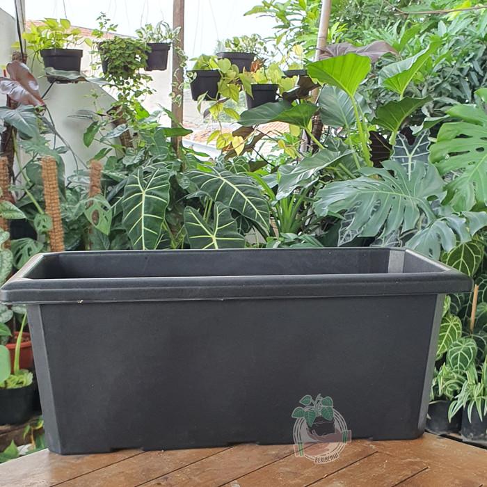 Jual Pot Persegi Panjang Tanaman Hias Grace Pot Bunga Plastik Hitam no ...