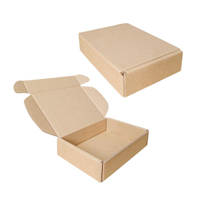 Jual SURYA KEMASINDO Box Karton 20x15x5 cm FLOVE DC LS Ear Lock Kardus ...