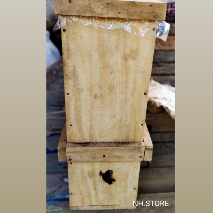 Jual BIBIT LEBAH KELANCENG TRIGONA BIROI SUPER | STUP TINGKAT Full ...