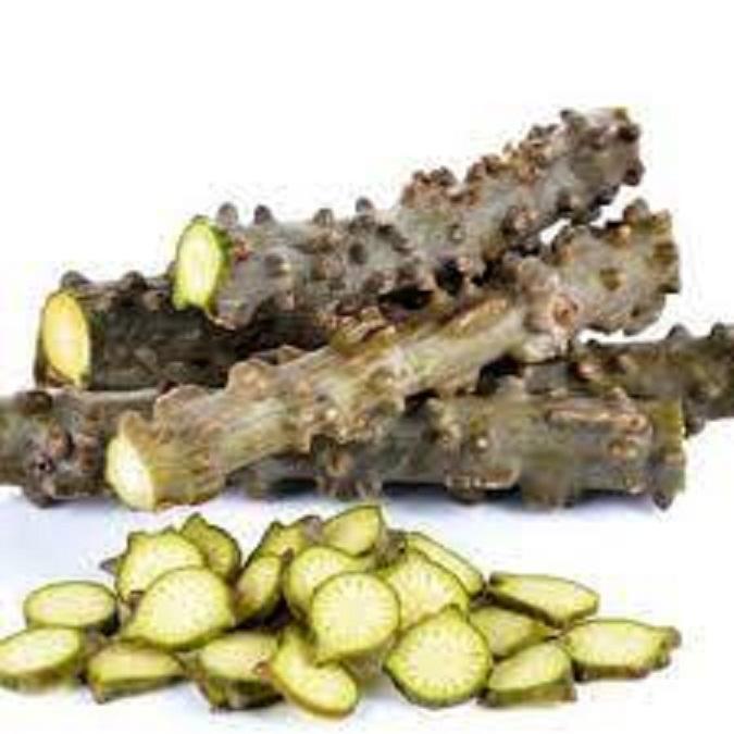 Jual Brotowali - Bratawali Segar Jamu Meningkatkan Sistem kekebalan ...