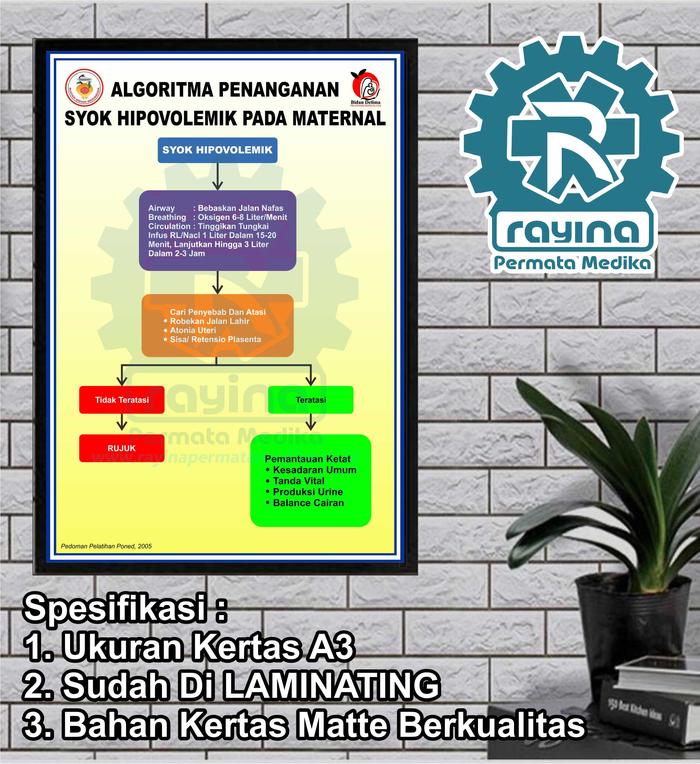Jual Poster Kesehatan Algoritma Penanganan Syok Hipovolemik pada ...