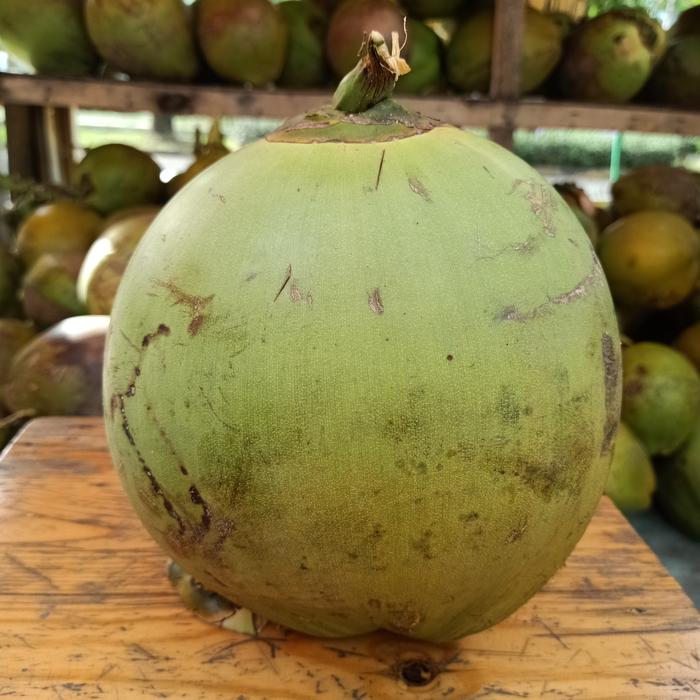 Jual Kelapa Muda Rp 10.000/butir - UTUH - Jakarta Barat - Dfruitz ...