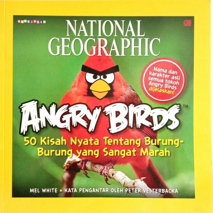Burung Angry Bird Dalam Dunia Nyata