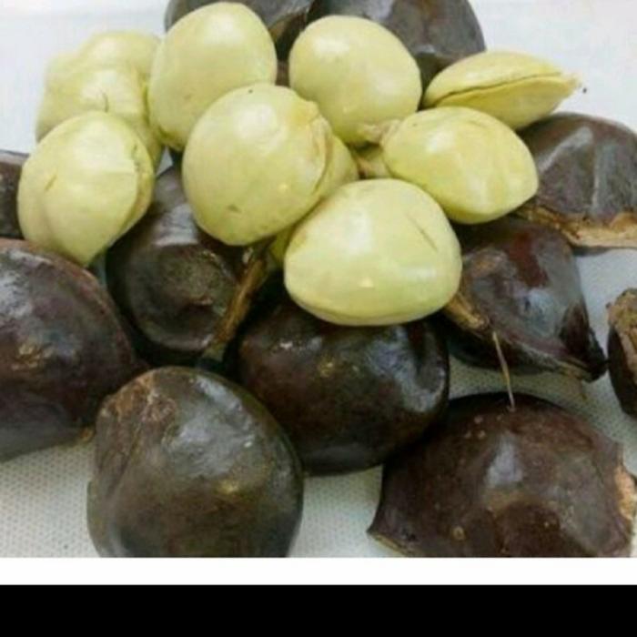 Jual JENGKOL MUDA KULIT SUPER MURAH 500 gr - Jakarta Barat - sayuran ...