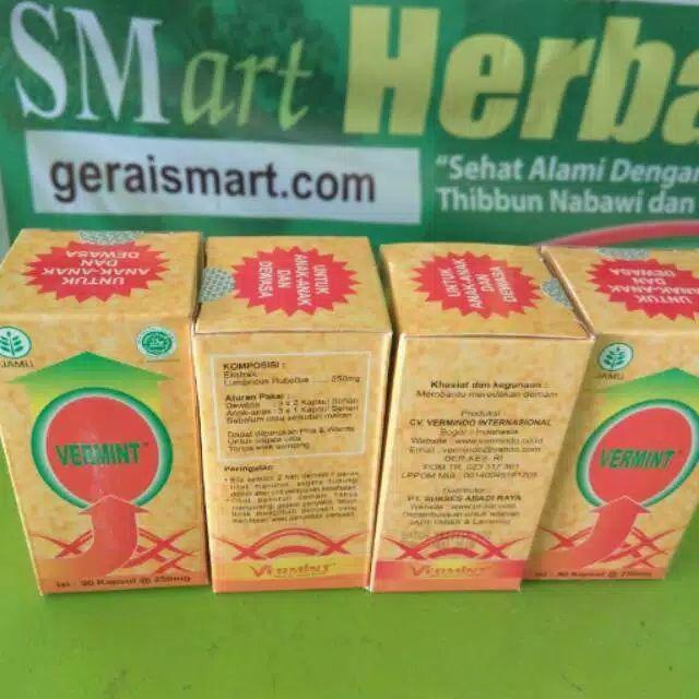 Jual vermint isi 30 kapsul ekstrak cacing tanah obat demam types dbd ...