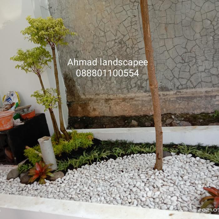 Jual Jasa Pembuatan Taman Cluster Bhuvana Di Seller Rumix - Cengkareng ...