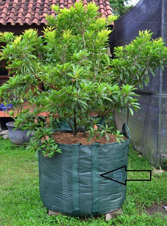 Jual Planter Bag 300 Liter Handle Panjang / Planterbag 300 Liter- Easy ...