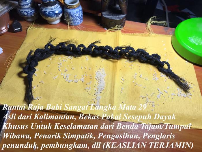 Jual Rantaii Babii Asli Peninggalan Dayak Kalimantan Mata Rantai 29 ...