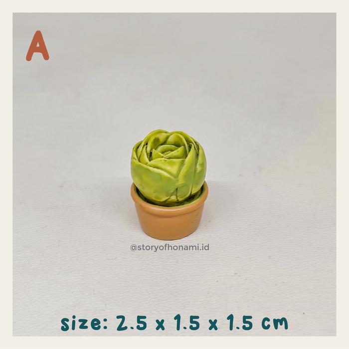 Jual MINIATUR 1:12 MINI PLANTS POT TANAMAN HIAS DAUN KAKTUS MAINAN - A ...