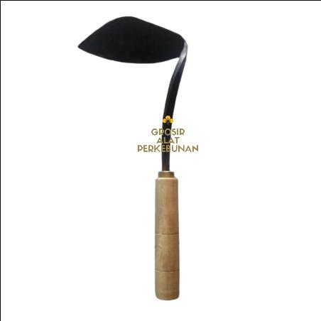 Jual Kored Rumput Dangir Padi - Gatul Tanah Miring - Wangkil Cangkul ...