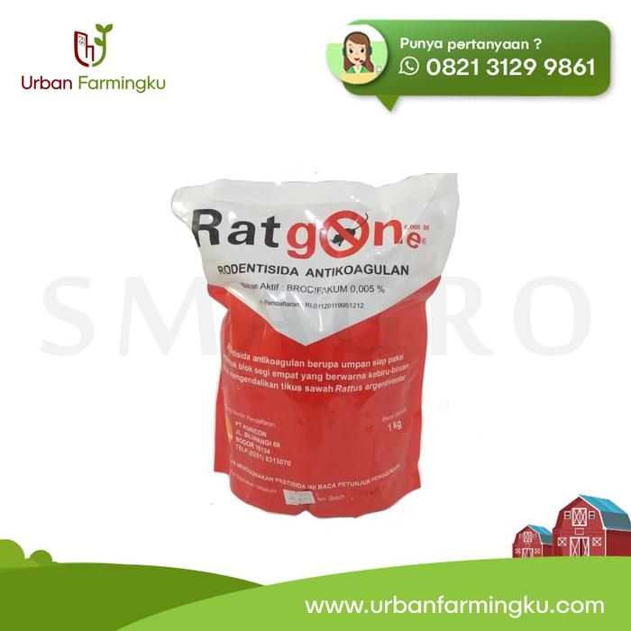 Jual Ratgone Racun Tikus 1 Kg - Kota Surabaya - SMAGRO Urban Farming ...