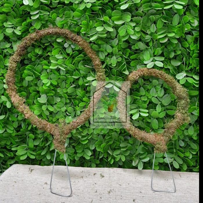 Jual Turus Lumut Lingkaran - Tiang Penyangga Tanaman Hias berbagai ...