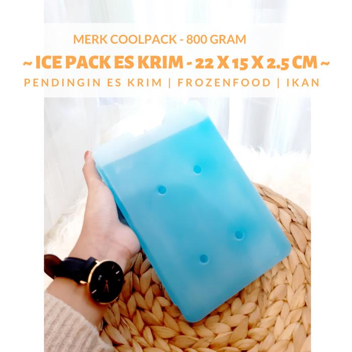 Jual Harga Ice Pack Kecil | Ice Pack Malang | Ice Pack Untuk Cooler Box ...