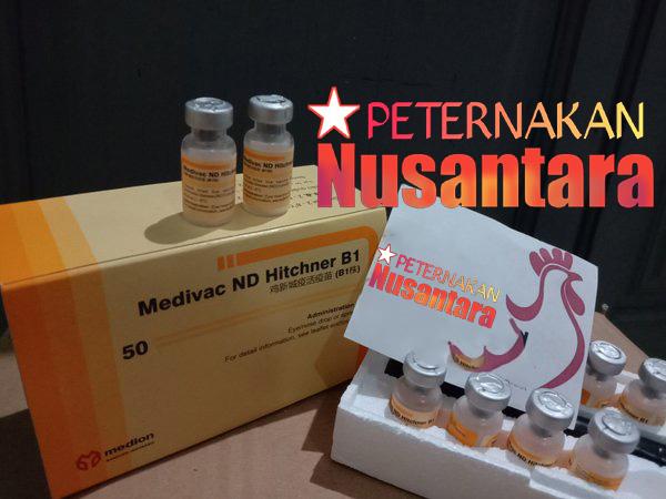 Jual VAKSIN AKTIF MEDIVAC ND HITCHNER B1/vaksin/obat ayam pedaging/50 ...