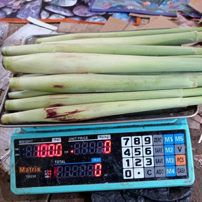 Promo Terubuk sayur 1 kg segar, telor turubuk - Jakarta Selatan - herbs ...