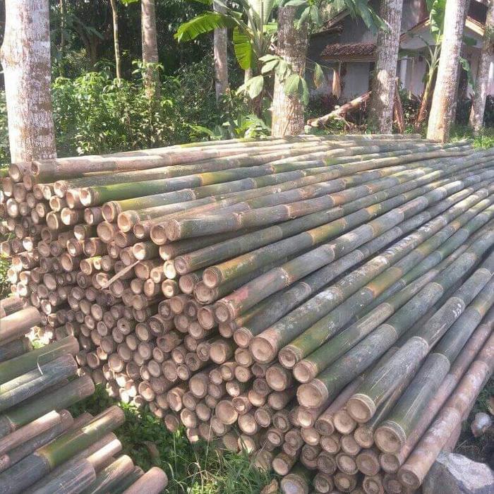 Jual Bambu Steger Proyek - Kab. Karawang - Bosbambu | Tokopedia