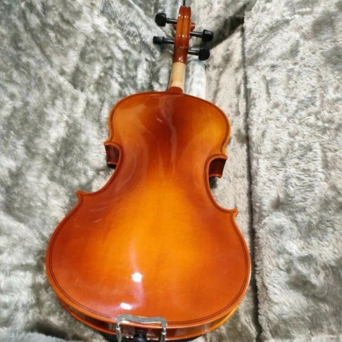 Jual Stainer Violin Outfit Svg-001-db 4/4 (biola Stainer) Di Seller ...
