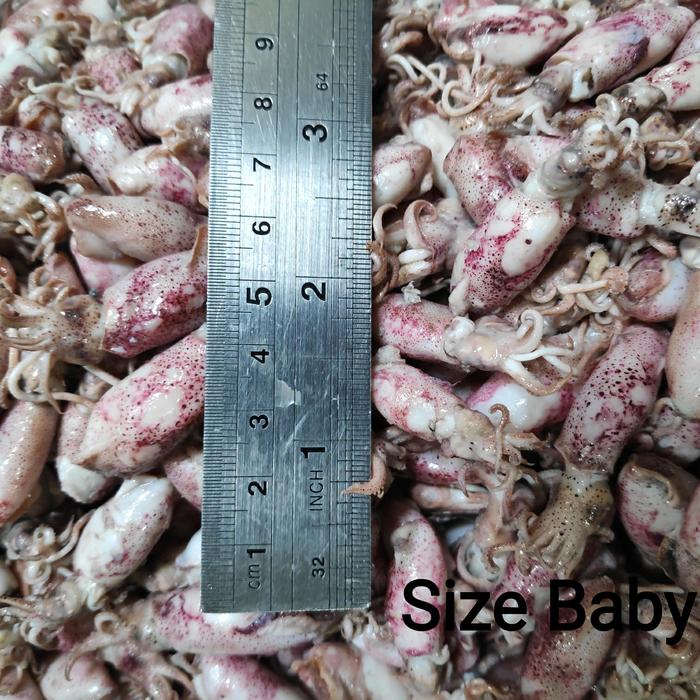 Jual Sotong / Cumi / Cumi Asin / Cumi Rebus 250 Gram Size Jumbo|Sedang ...