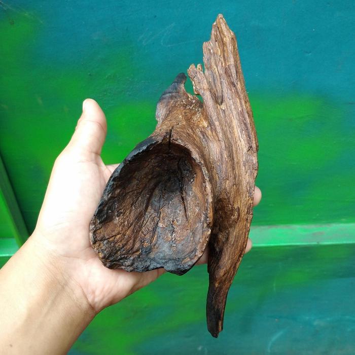 Jual kayu gaharu / agar Wood Kalimantan bentuk unik - Kota Depok - dewa ...