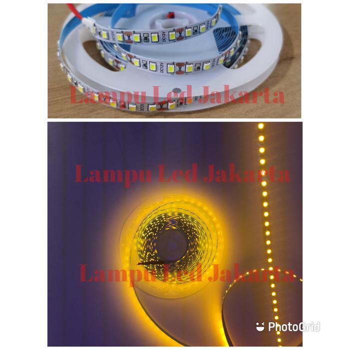 Jual Led strip 2835 120mata GOLD. Led strip gold 120mata. Led pita ...