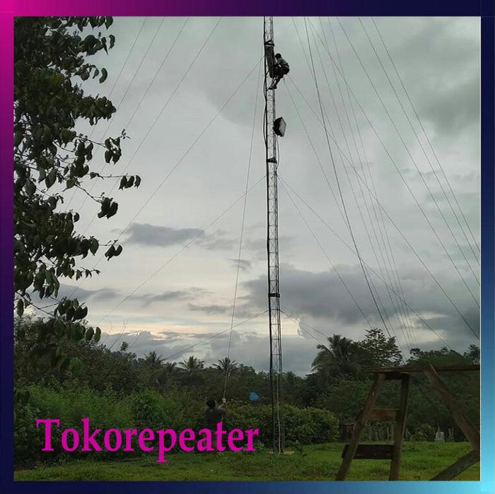 Jual Penguat Sinyal 2G-4G Singleband Dualsystem Repeater Resmi Postel ...