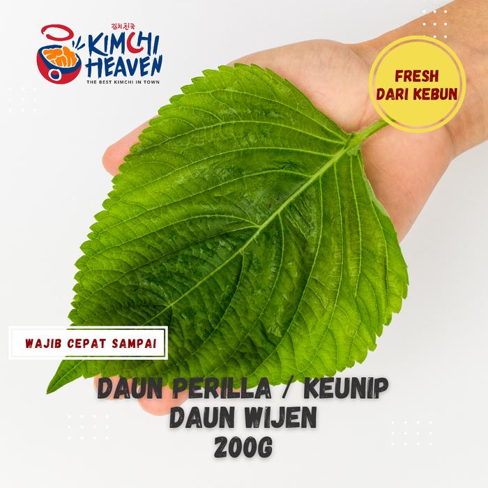 Jual Daun perilla /knip / sisho/ daun wijen segar 200g - Jakarta Utara ...