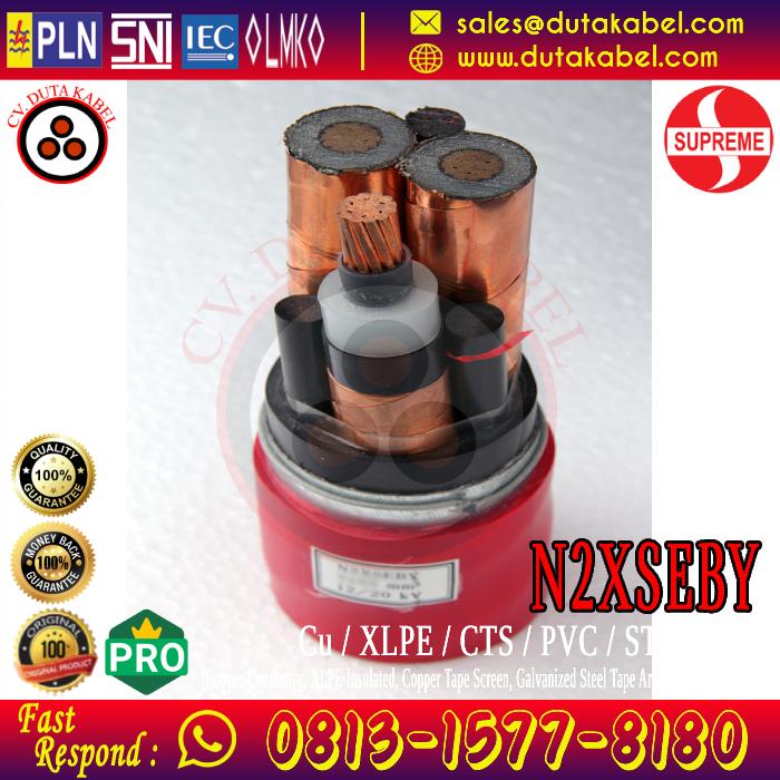 Jual Kabel N2XSEBY 3x50 mm2 20kV SUPREME /3x50 mm/3 x 50 mm2/3 x 50 mm/3x50 - Kab. Bekasi - CV ...