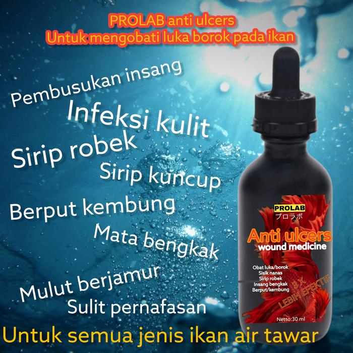 Promo PROLAB anti ulcers/obat luka borok ikan/obat luka ikan/sirip ...