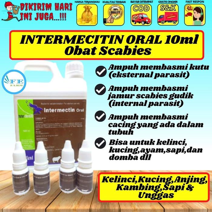 Jual Intermectin Oral 10 Ml Obat Kutu Gudik Cacing Scabies Kucing ...