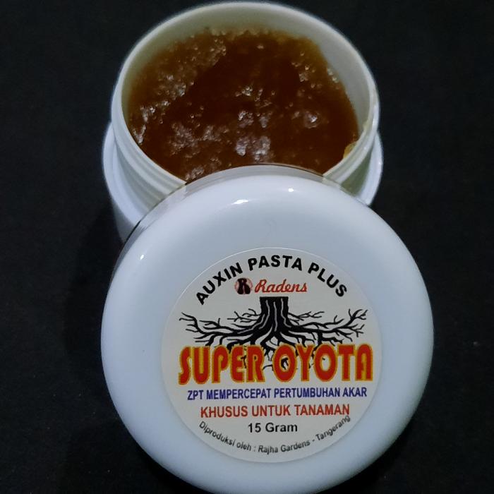 Jual SUPER OYOTA15GR HARDWOOD ROOT ZPT ROOTING HORMONE PUPUK AKAR VIT ...