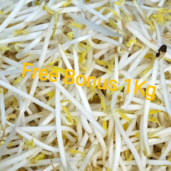 Jual Tauge | Toge Bangkok | Toge Panjang 1 kg + Gratis Bonus - Jakarta ...