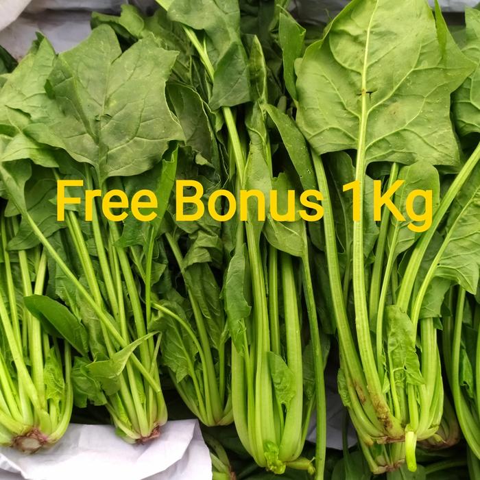 Jual Horenso/Poling/Bayam Jepang 500gr + Gratis Bonus - Jakarta Barat ...