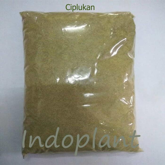 Jual Serbuk Ciplukan 250 g Bubuk Heba Ceplukan Daun Buah Cecendet ...